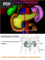 Anatomie de l'Aine et Canal Inguinal | PDF | Péritoine | Vaisseau sanguin