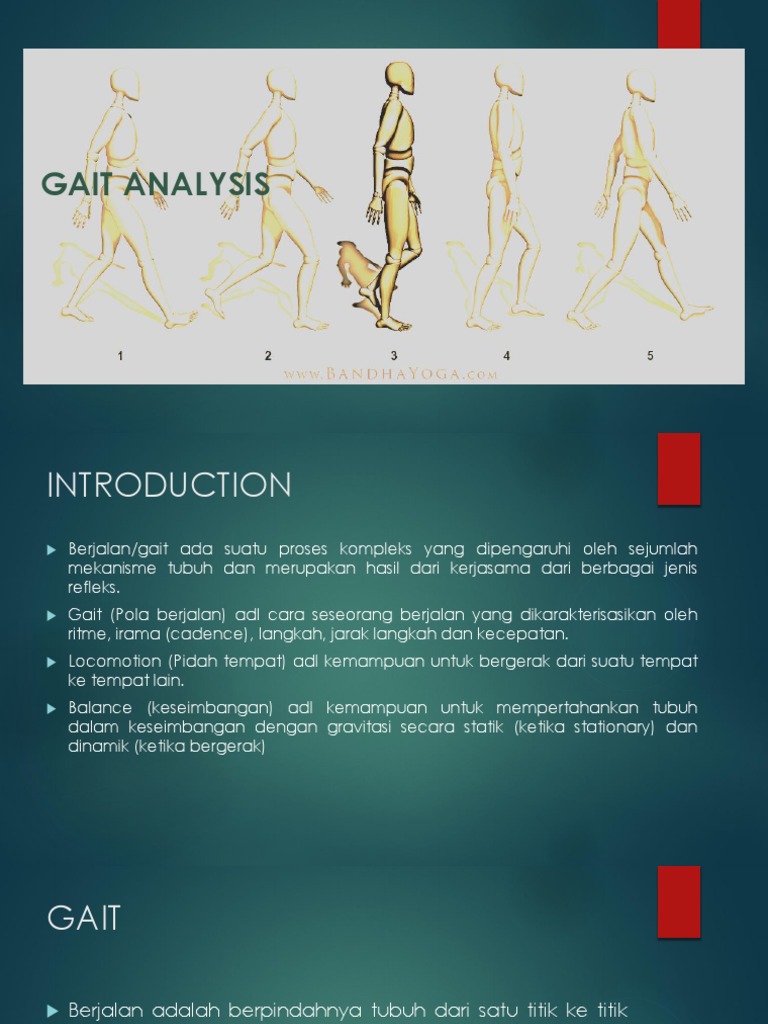 Analisis Gait: Fase dan Pola Berjalan | PDF | Pengembangan Diri