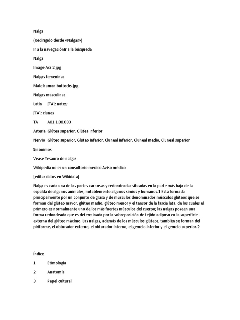 Anatomía y Cultura de las Nalgas | PDF | Nalgas | Anatomía humana