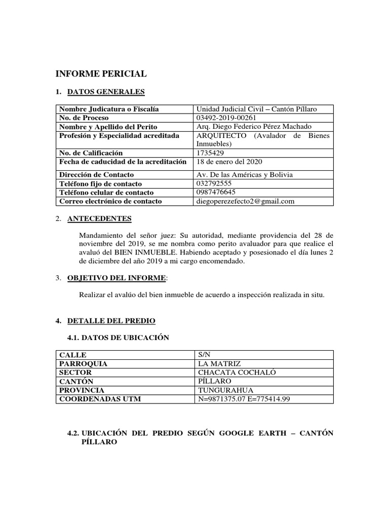 Formato de Informe Pericial | PDF | Testigo experto | Experto