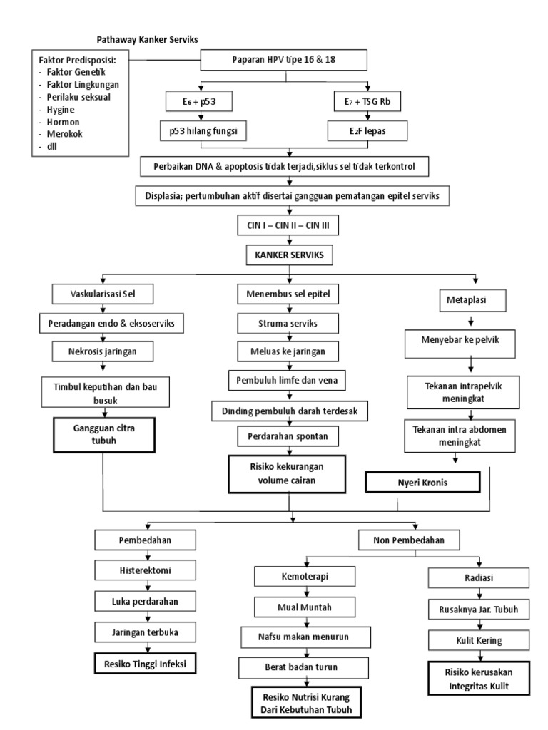 WOC Ca Serviks | PDF