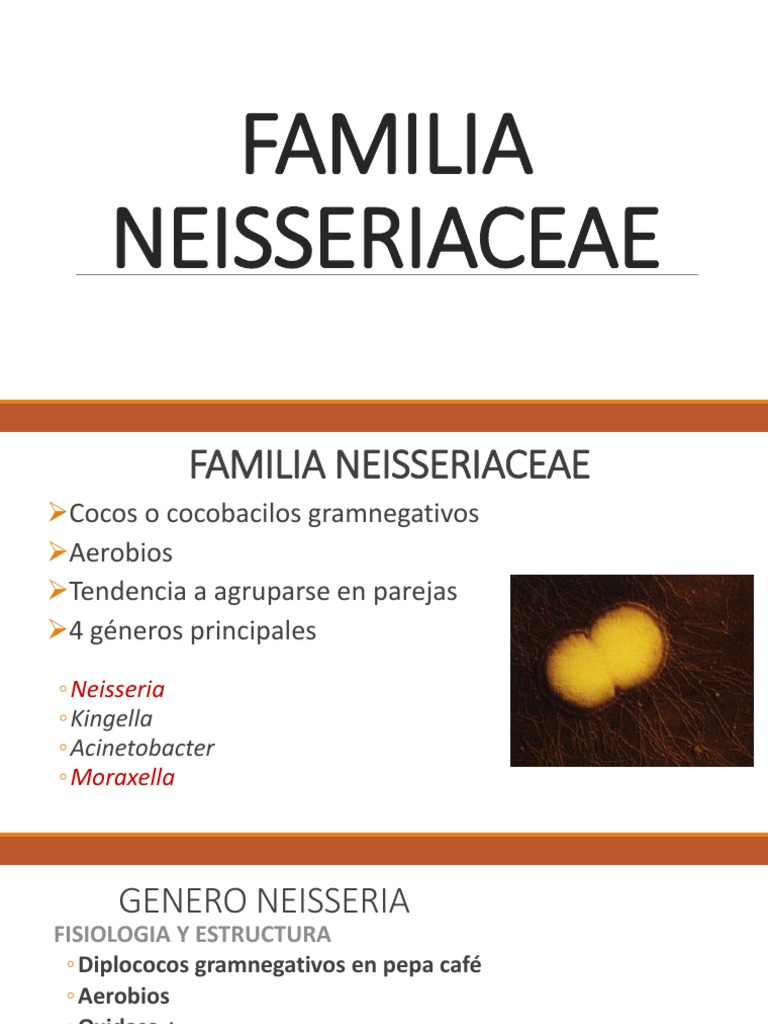 Familia Neisseriaceae | PDF | Microbiología | Química