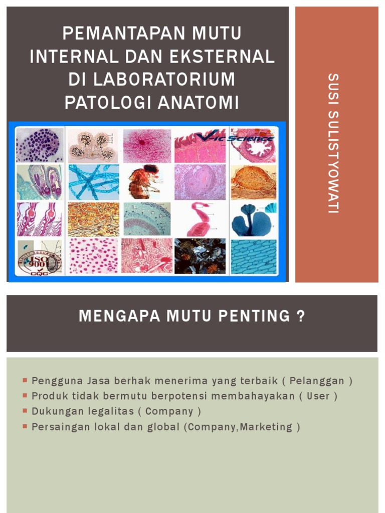 Mutu Histopatologi dan Sitopatologi [DOKUMEN]: PEMANTAPAN MUTU INTERNAL DAN EKSTERNAL DI ...