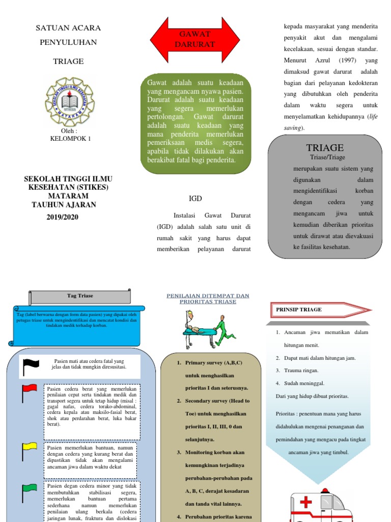Leaflet Triage | PDF