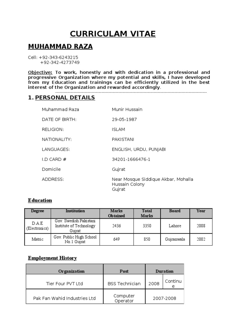 Raza CV | PDF | Pakistan