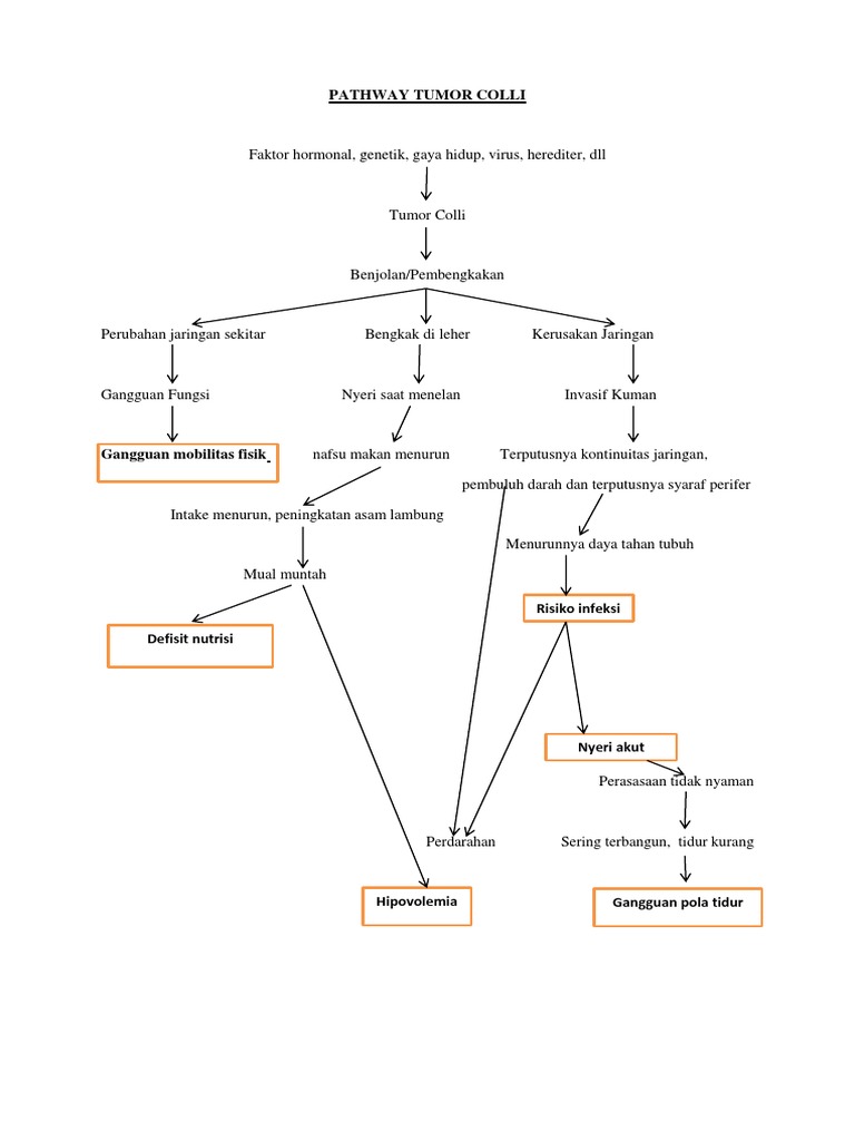 Pathway Tumor Colli | PDF