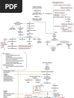 Woc Gastroenteritis Akut (Gea) : Aktual/risiko Penurunan Perfusi Serebral | PDF