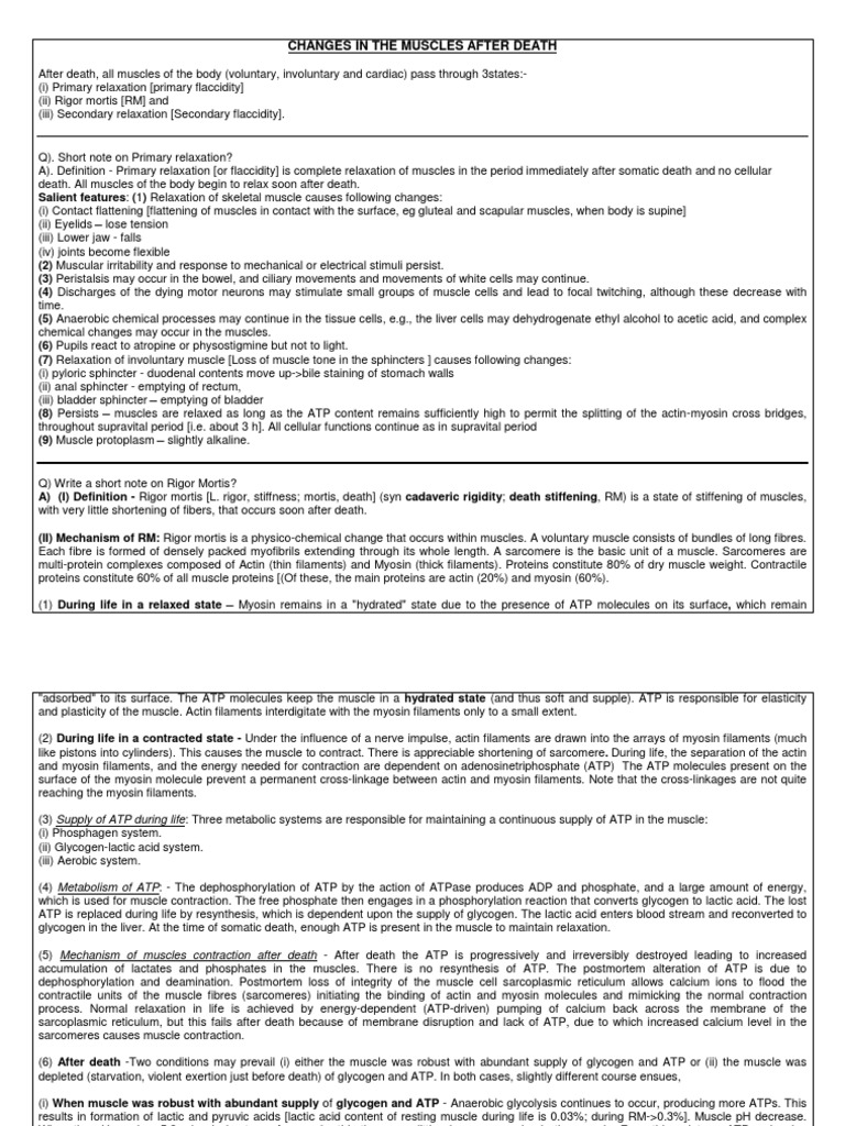 Muscle Changes After Death | PDF | Muscle Contraction | Anatomy