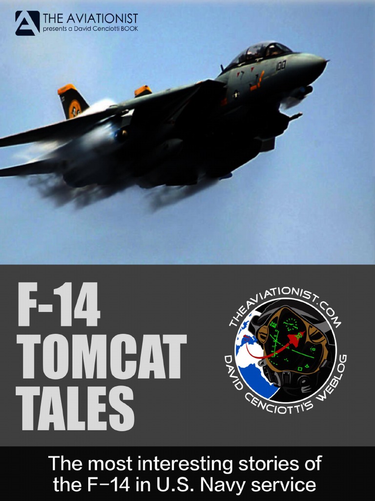 F 14 Tomcat Tales | PDF | Supermarine Spitfire | Military Aviation