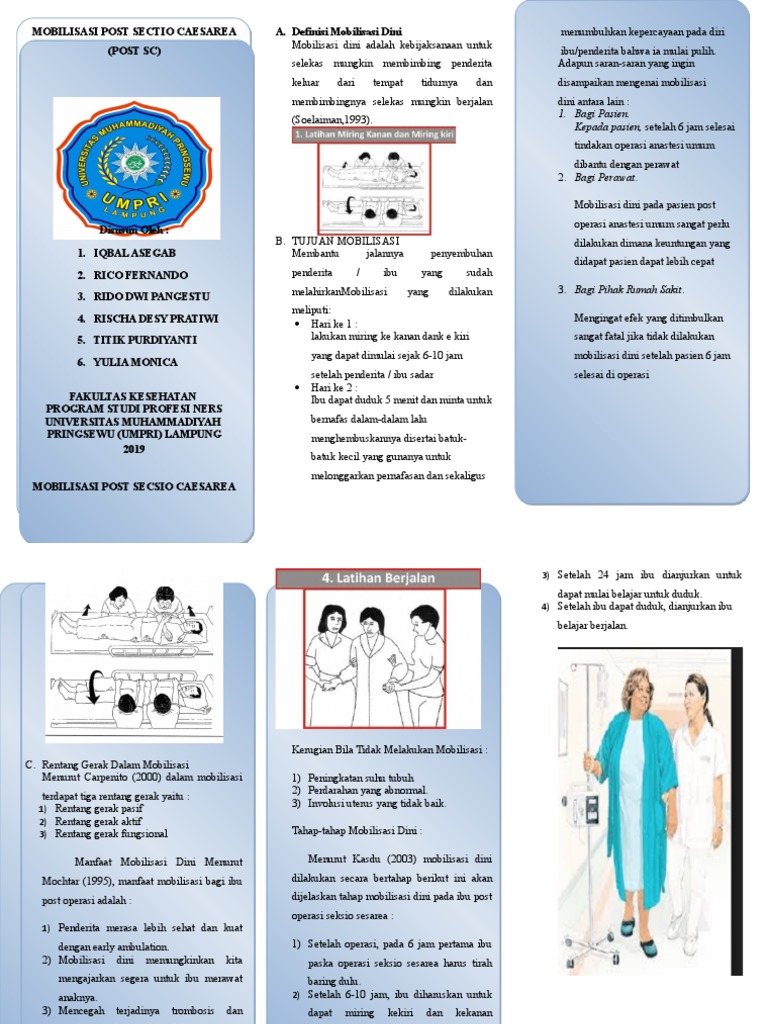 LEAFLET Mobilisasi SC | PDF