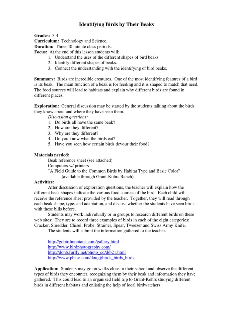 Identifying Birds by Their Beaks Lesson Plan PDF | PDF | Beak | Birds