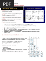 Clasificacion de Fernandez para Fracturas Distales de Radio: Issac ...