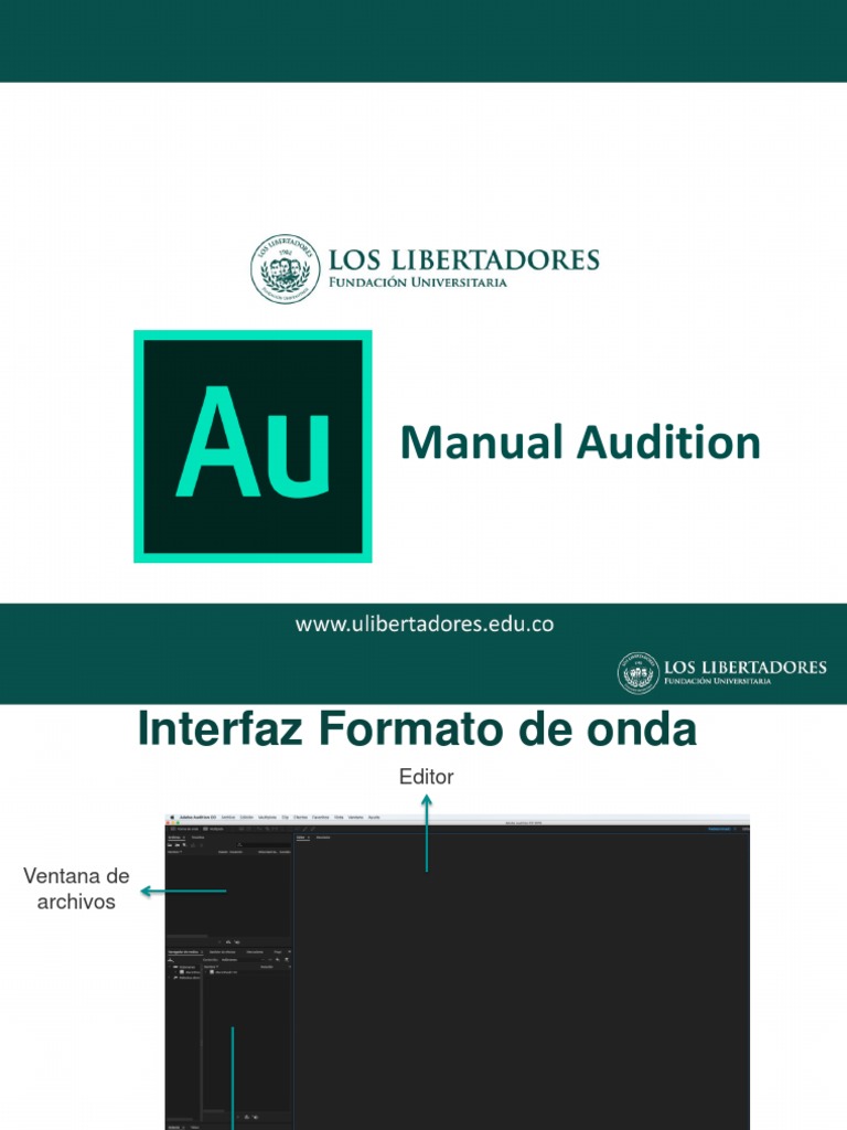 Manual Audition | PDF | Archivo de computadora | Publicación