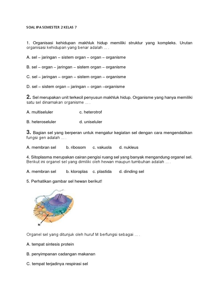 Soal Ipa Semester 2 Kelas 7 | PDF | Sains & Matematika | Teknologi & Rekayasa