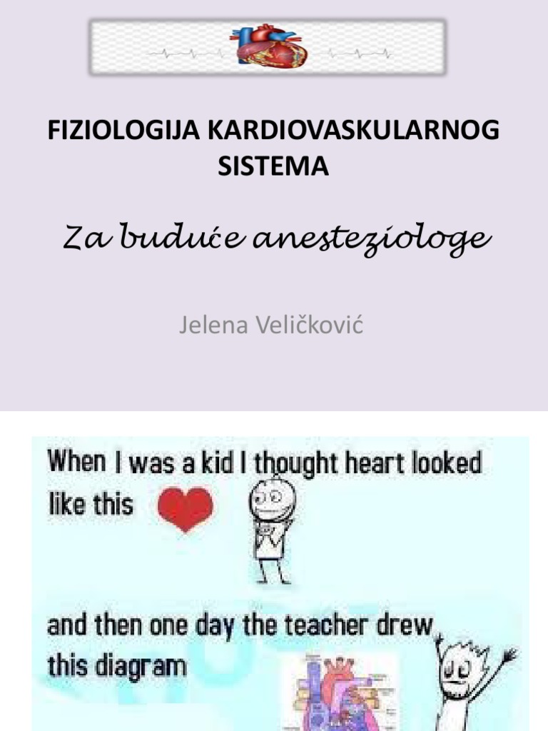 Fiziologija Kardiovaskularnog Sistema | PDF
