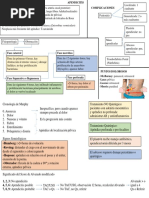 Fases Neurológicas de la Hipoglucemia | PDF