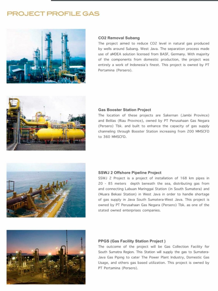 Project Profile SBU Gas | PDF