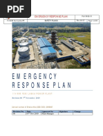 Emergency Response Team Organizational Chart: ERT Roles | PDF ...