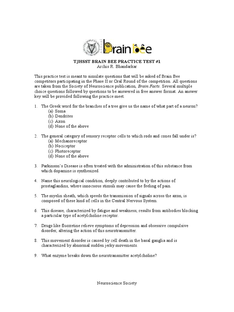 Brianbee Sample Questions 1 PDF | PDF | Brain | Neuron
