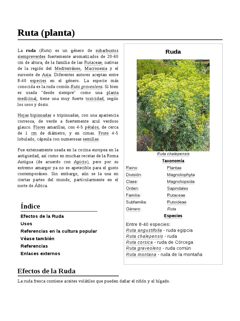 Ruta (Planta) | PDF | Plantas | Salud y bienestar