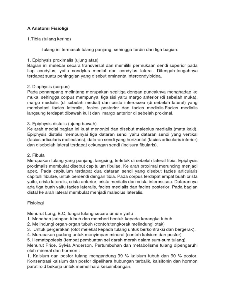 LP Fraktur Tibia | PDF