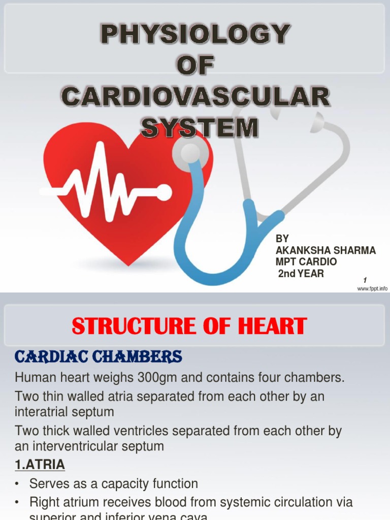 Heart Structure and Function Overview | PDF | Heart Valve | Diastole