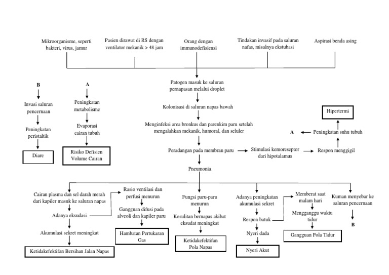 Pathway Pneumonia | PDF