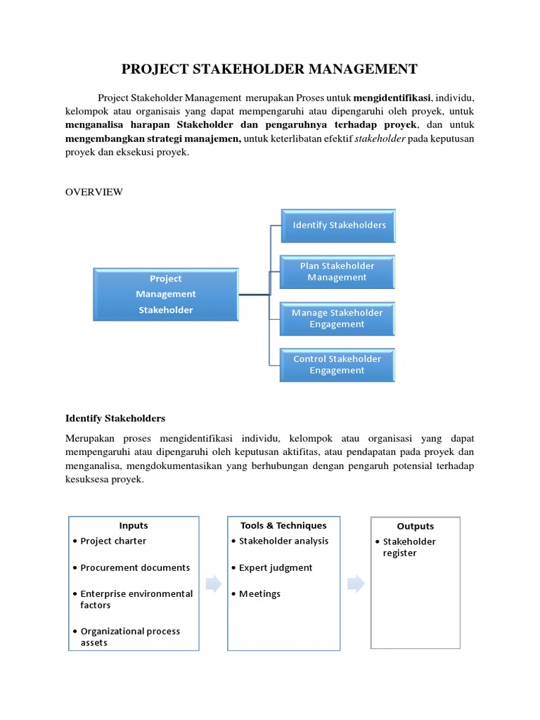 Project Stakeholder Management | PDF