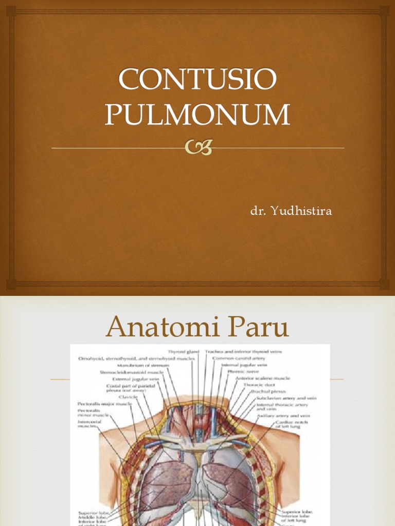 Kontusio Paru: Penyebab, Gejala, dan Penanganan | PDF | Sains & Matematika