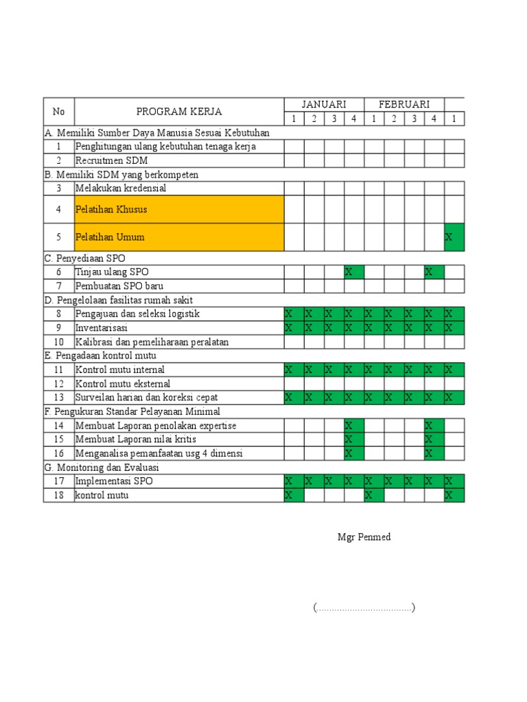 Contoh Program Kerja Radiologi | PDF