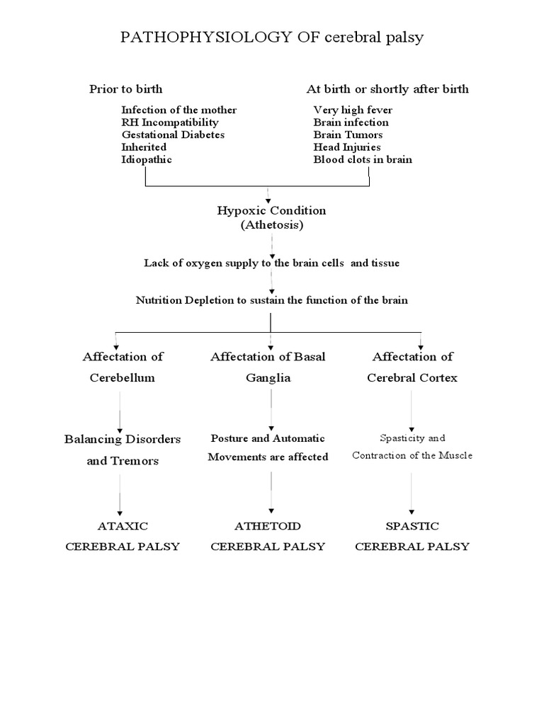 Pathophysiology of Cerebral Palsy | PDF
