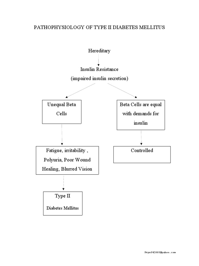 Pathophysiology of Type II Diabetes | PDF