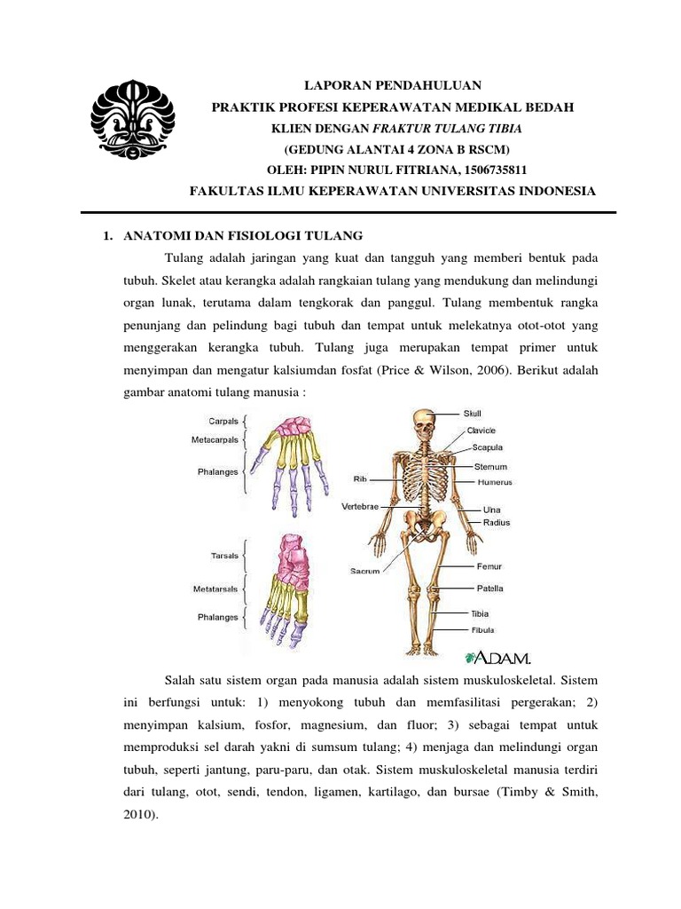 LP Fraktur Tibia | PDF