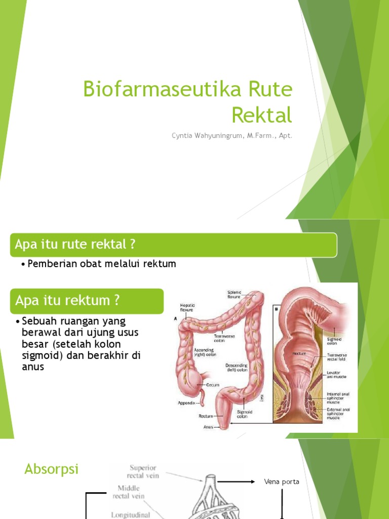 Biofarmaseutika Rute Rektal | PDF