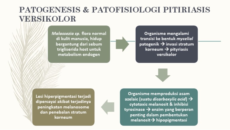 Tutorial Klinik PV PATOF | PDF