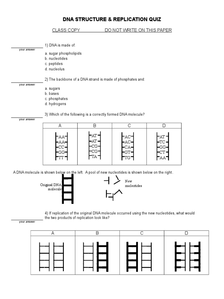 Understanding DNA Structure and Replication: A Quiz on Key Concepts ...
