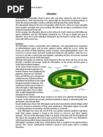 Chloroplast Notes | PDF | Chloroplast | Photosynthesis