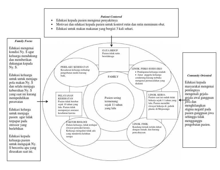 Model Mandala Kesehatan Pasien Ny. S | PDF | Pengembangan Diri