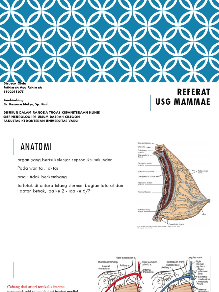 Usg Mammae | PDF