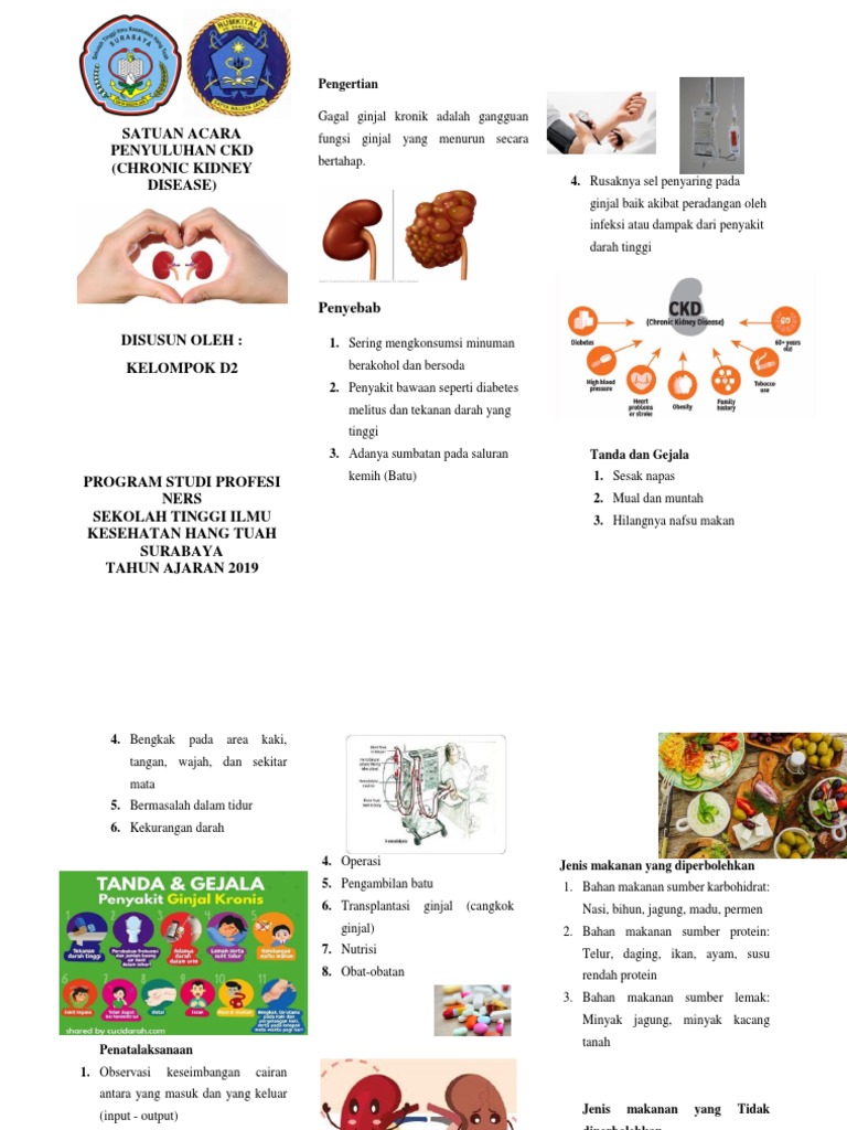 Leaflet Ckd-Ruang HD | PDF