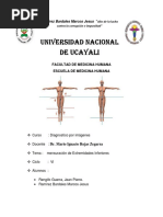 Dismetría de MMII: Diagnóstico y Técnicas | PDF | Pelvis | Sistema ...
