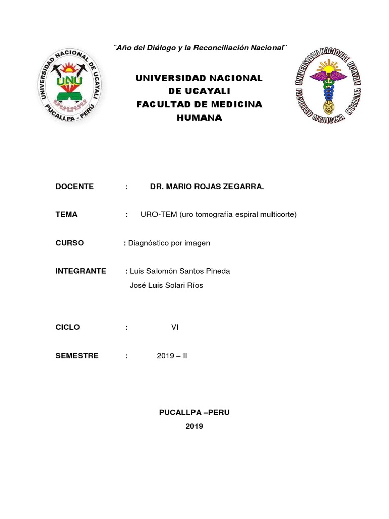 Seminario Urotem | PDF | Ct Scan | Especialidades Medicas