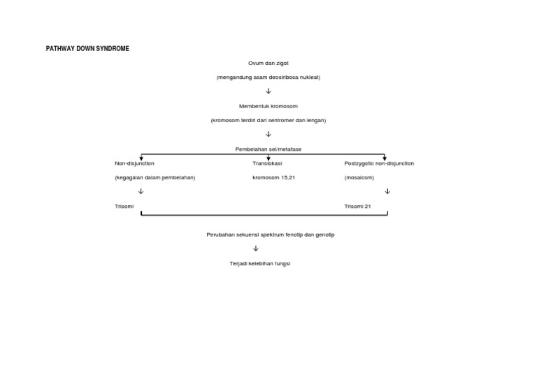 Pathway Down Syndrome | PDF