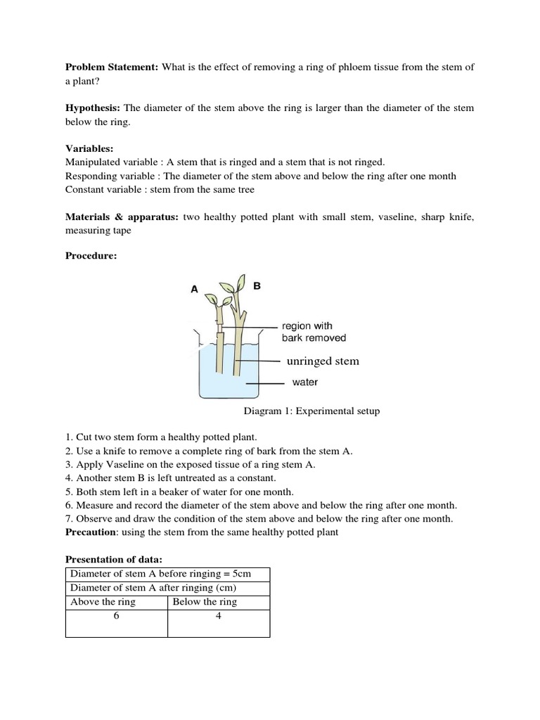 Biology Experiment Sample | PDF