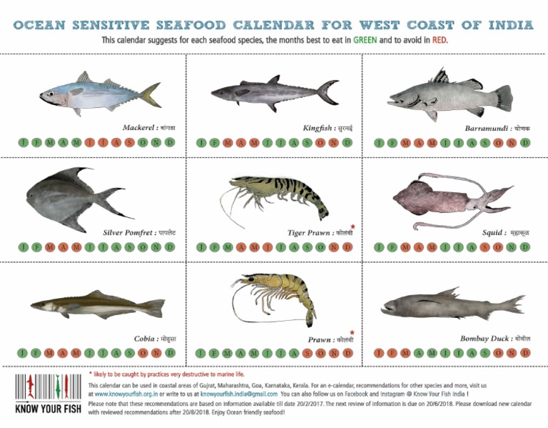 Know Your Fish Calendar | PDF
