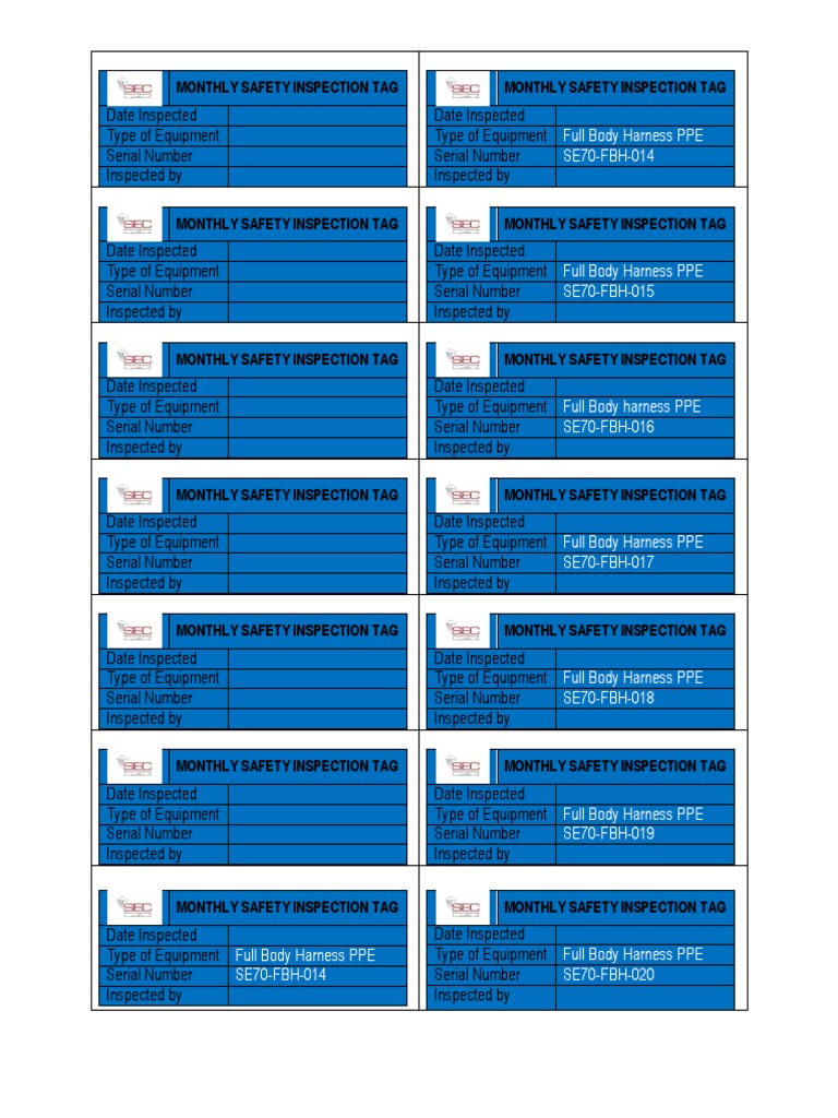 Monthly Safety Inspection Tag - Blue January 2020 2 | PDF