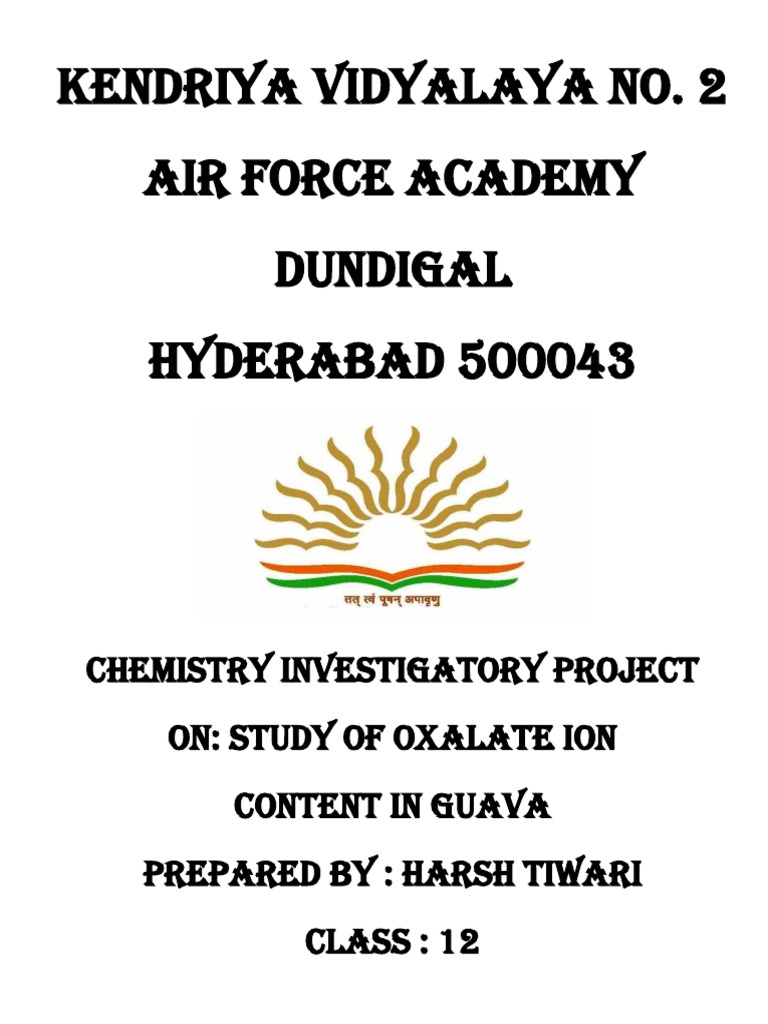 Chemistry Investigatory Project Class 12 | PDF | Titration | Chemistry