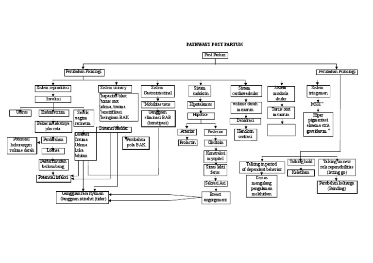 Pathway Postpartum Normal | PDF