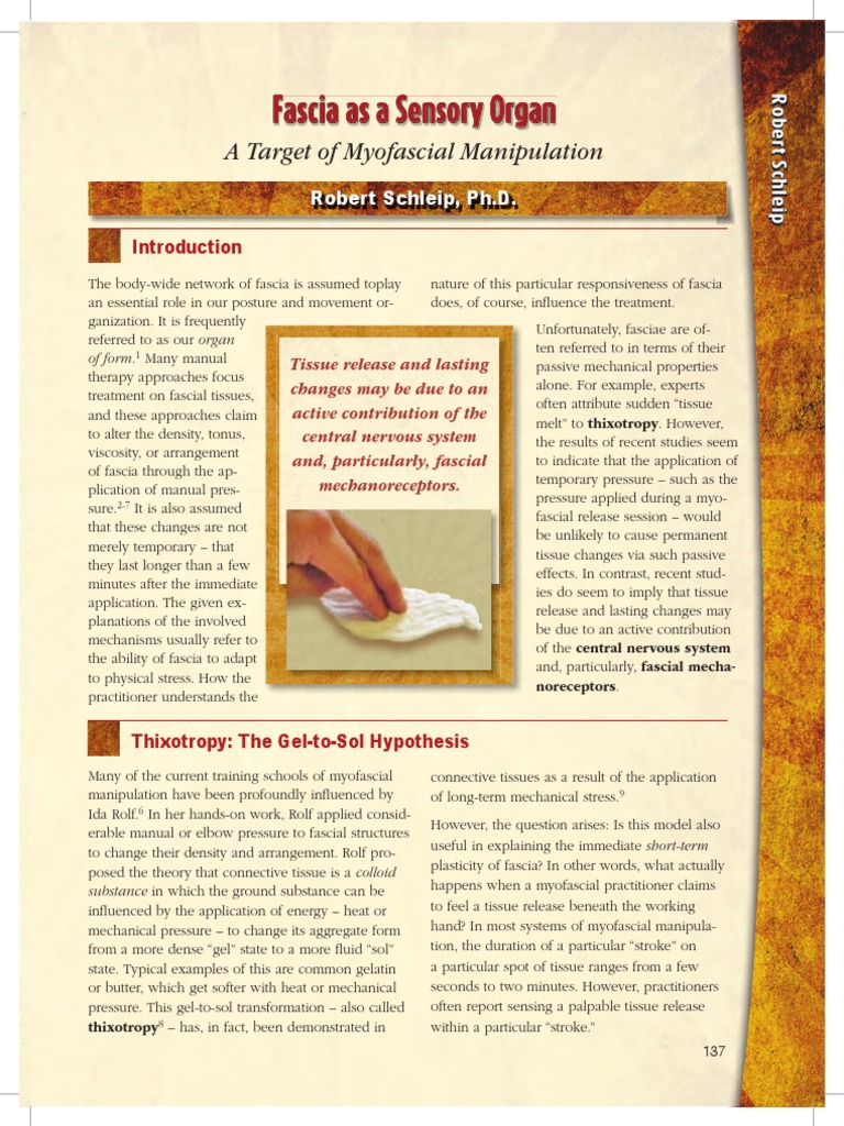 Schleip Fascia As A Sensory Organ | PDF | Axon | Nervous System