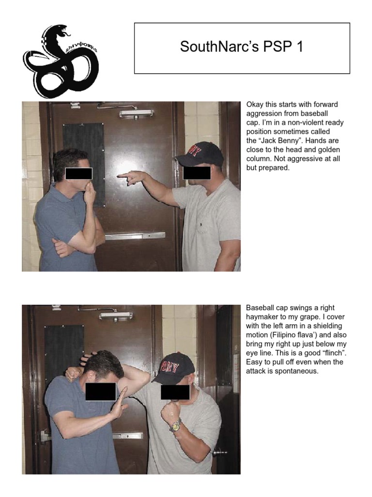 South Narcs PSP | PDF | Elbow | Sports